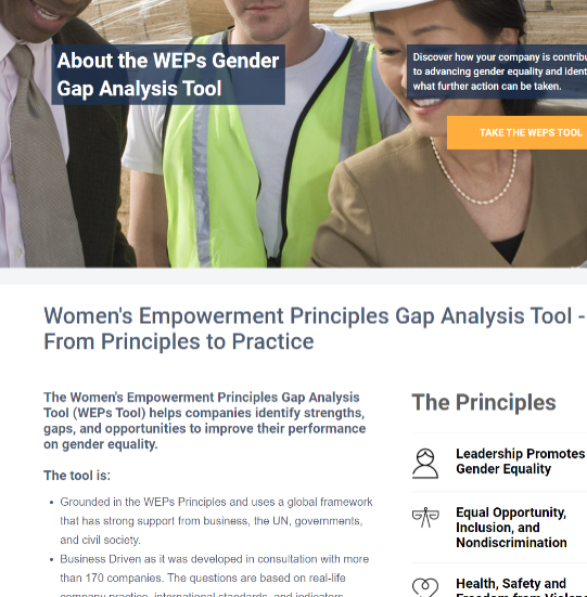 Step 1 Gender Responsive Due Diligence